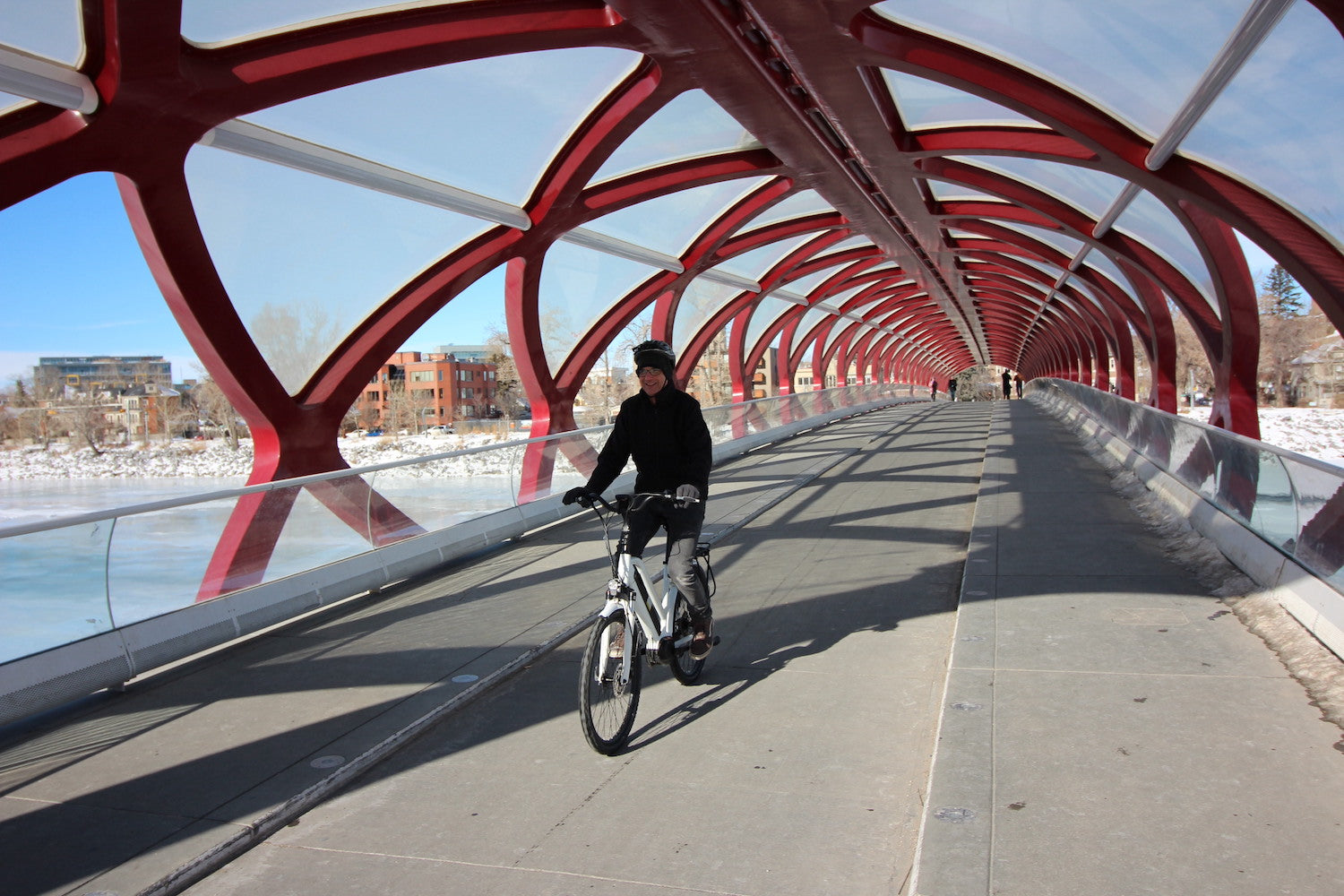 Collections – Doctor Stoner bikes